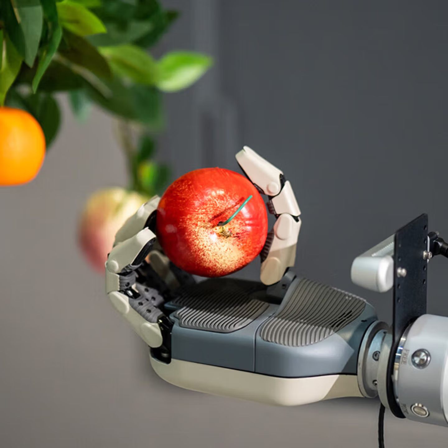 What Is a Dexterous Hand? 2025 Guide