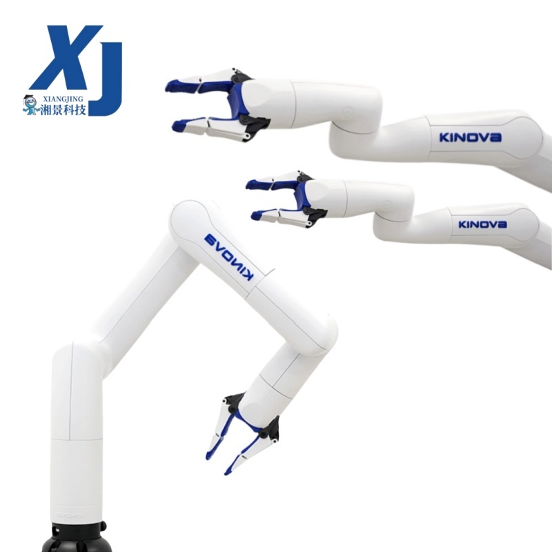 Kinova Gen3 Lite Cobot: Lightweight, Agile Robotic Arm for Intuitive ...
