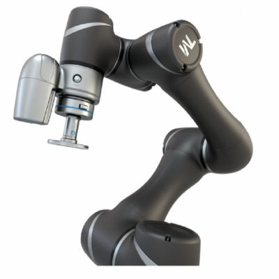 Flexible Picking And Placing Robot on 33.5kg TM Collaborative Robot Arm ...