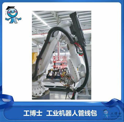 IRB 4600-60-2.05 Robot Dress Pack Standard / Customized Solution For ...