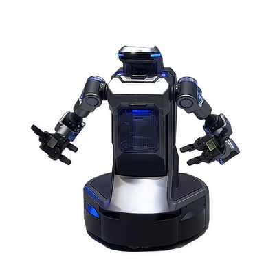 Autonomous Navigation AI Robot China Humaniod Reception Robot Adaptive ...