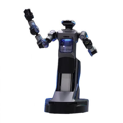 Autonomous Navigation AI Robot China Humaniod Reception Robot Adaptive ...