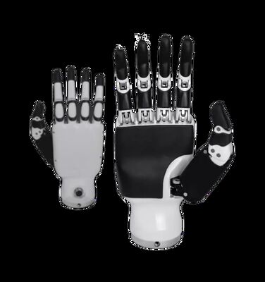 Inspire Robotic Hand Human-Like Structure for Flexible Gripping ...