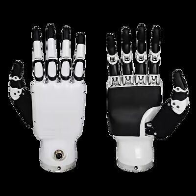 Inspire Robotic Hand Human-Like Structure for Flexible Gripping ...