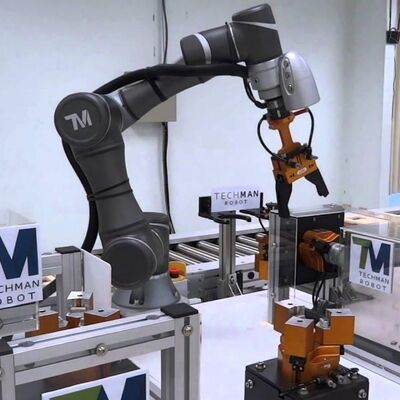 Techman Cobot Palletizing System for Automated Carton and Box Stacking ...
