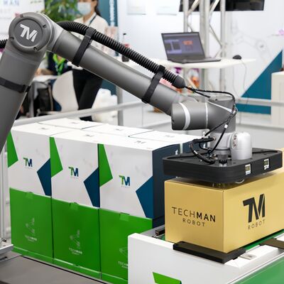 Techman Cobot Palletizing System for Automated Carton and Box Stacking ...